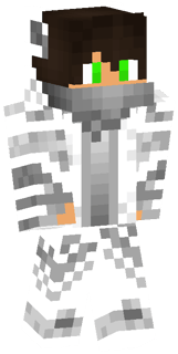 Skin 230865648 Skin | Minecraft Skin | Badlion