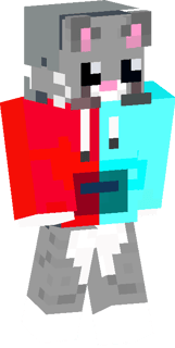 Skin 173973483 Skin | Minecraft Skin | Badlion